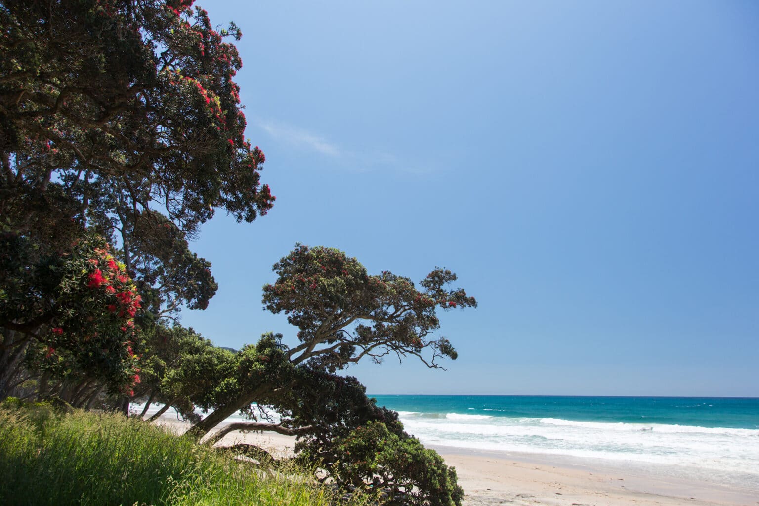 Retirement Villages & Communities Coromandel Waihi Beach | Retirement ...